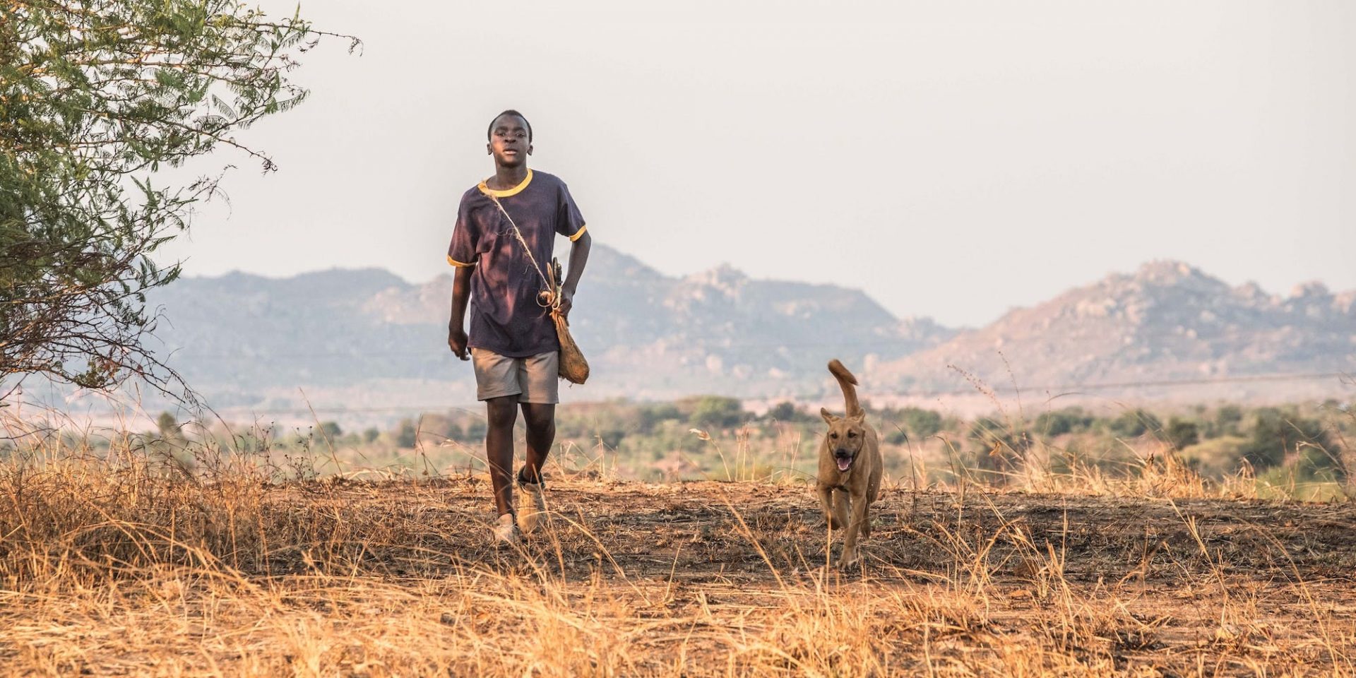 "The Boy Who Harnessed the Wind" Emphasizes Education and Cooperation ...